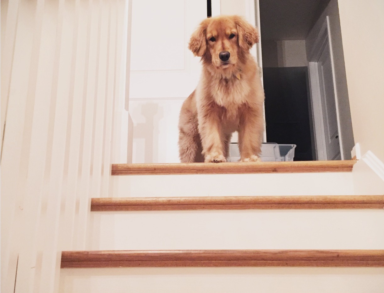When the Steps Feel Too Much: A Reflection on Unhelpful Limits ...